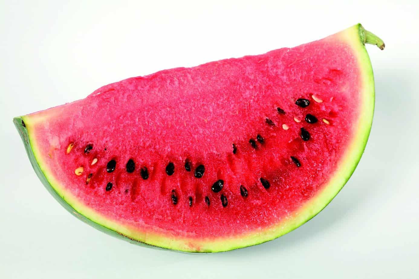 Can Parrots Eat Watermelon? - Parrot Website