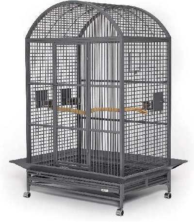 Best Cage For Large Cockatoos - Parrot Website