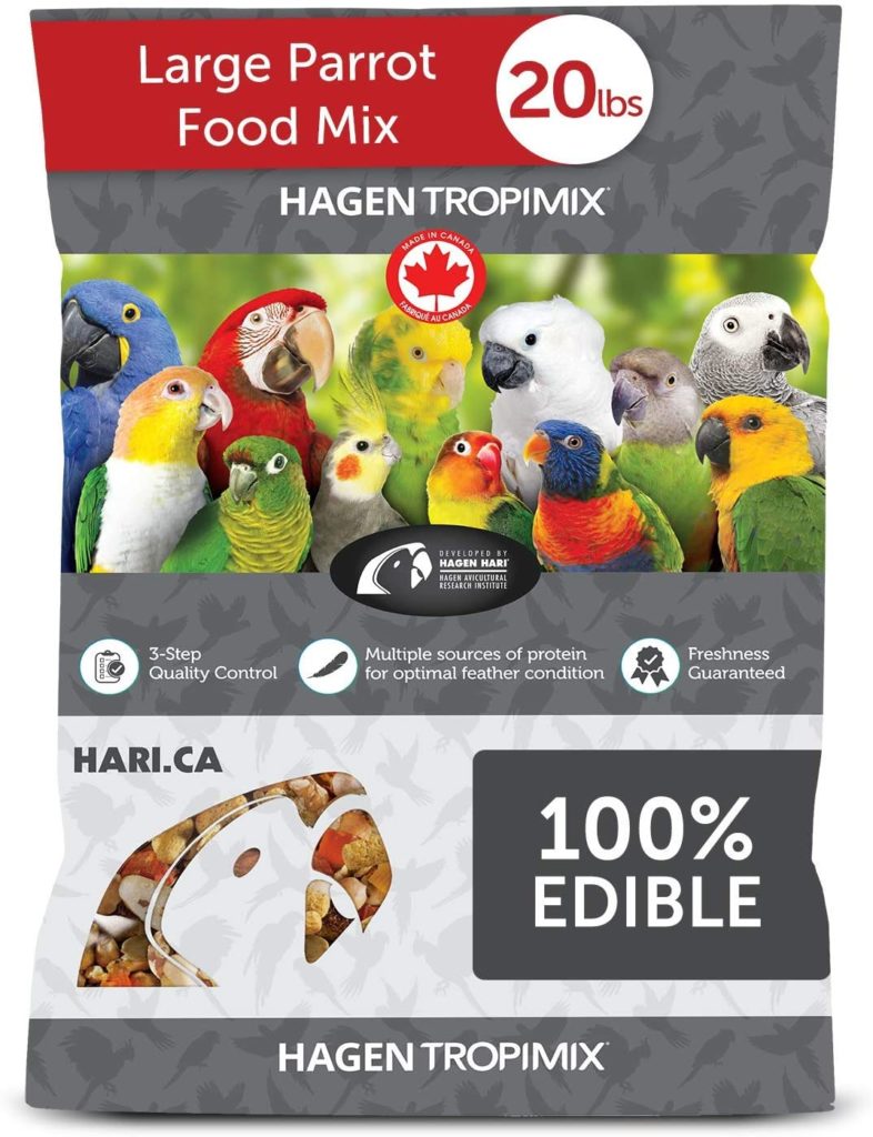 Best Food For African Greys - Parrot Website