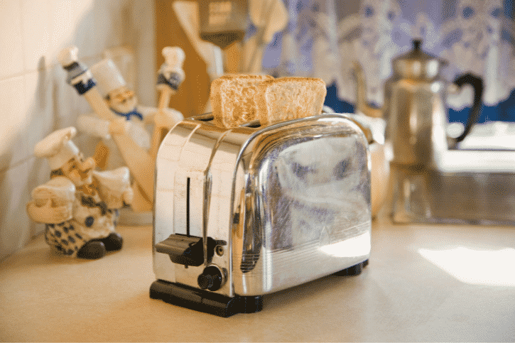 Are Toasters Safe For Parrots? (Revealed!) - Parrot Website